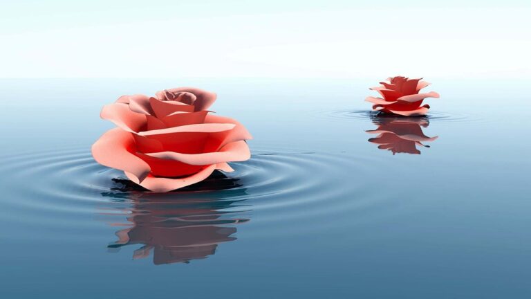 iDo Holistic Center | Japanese Acupuncture and Shiatsu Massage in NYC