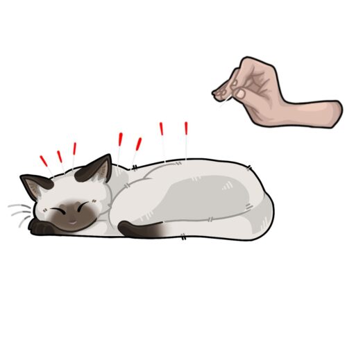 iDo Holistic Center | Japanese Acupuncture and Shiatsu Massage in NYC