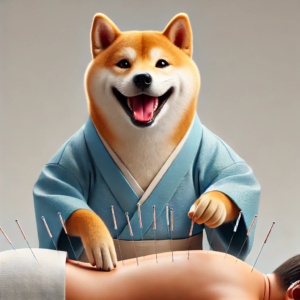 iDo Holistic Center | Japanese Acupuncture and Shiatsu Massage in NYC