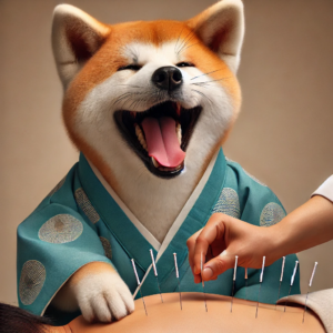 iDo Holistic Center | Japanese Acupuncture and Shiatsu Massage in NYC